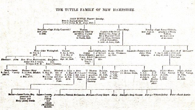 John Tuttle | Miner Descent