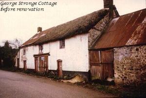 George Strong | Miner Descent